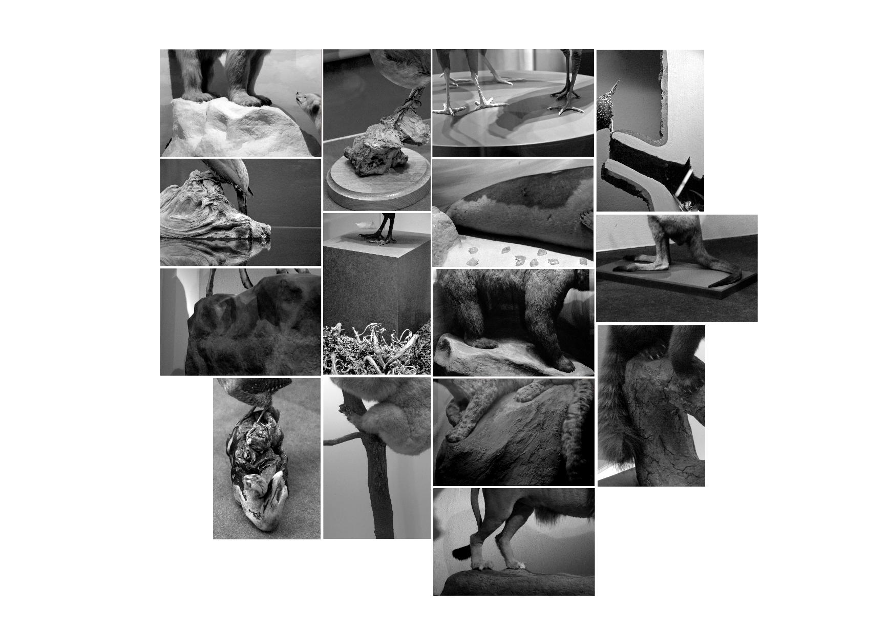 Podium Nature – Bea Nielsen